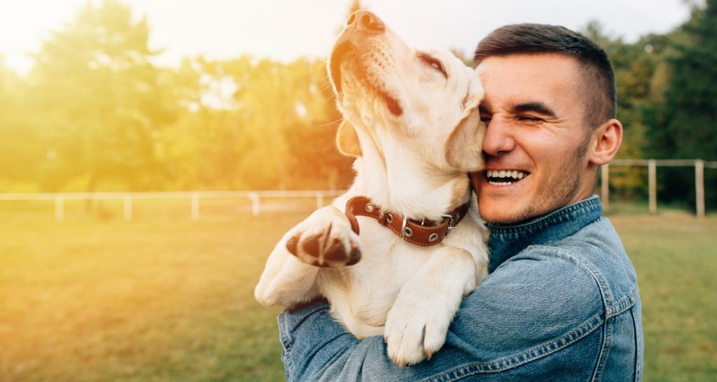 Here’s How To Improve Your Dog’s Well-being - PetlifeNZ™