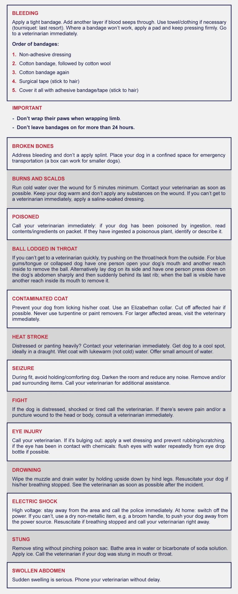 Basic First Aid For Dogs Part 2: First Aid For Different Situations ...