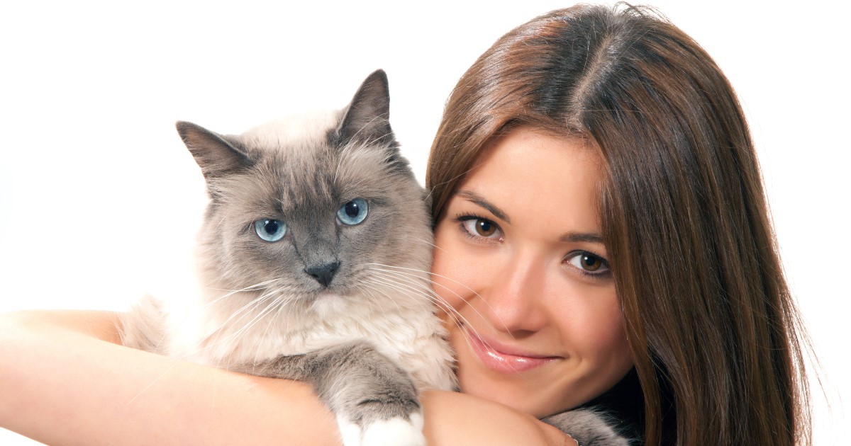 How To Respect Your Cat - PetlifeNZ™