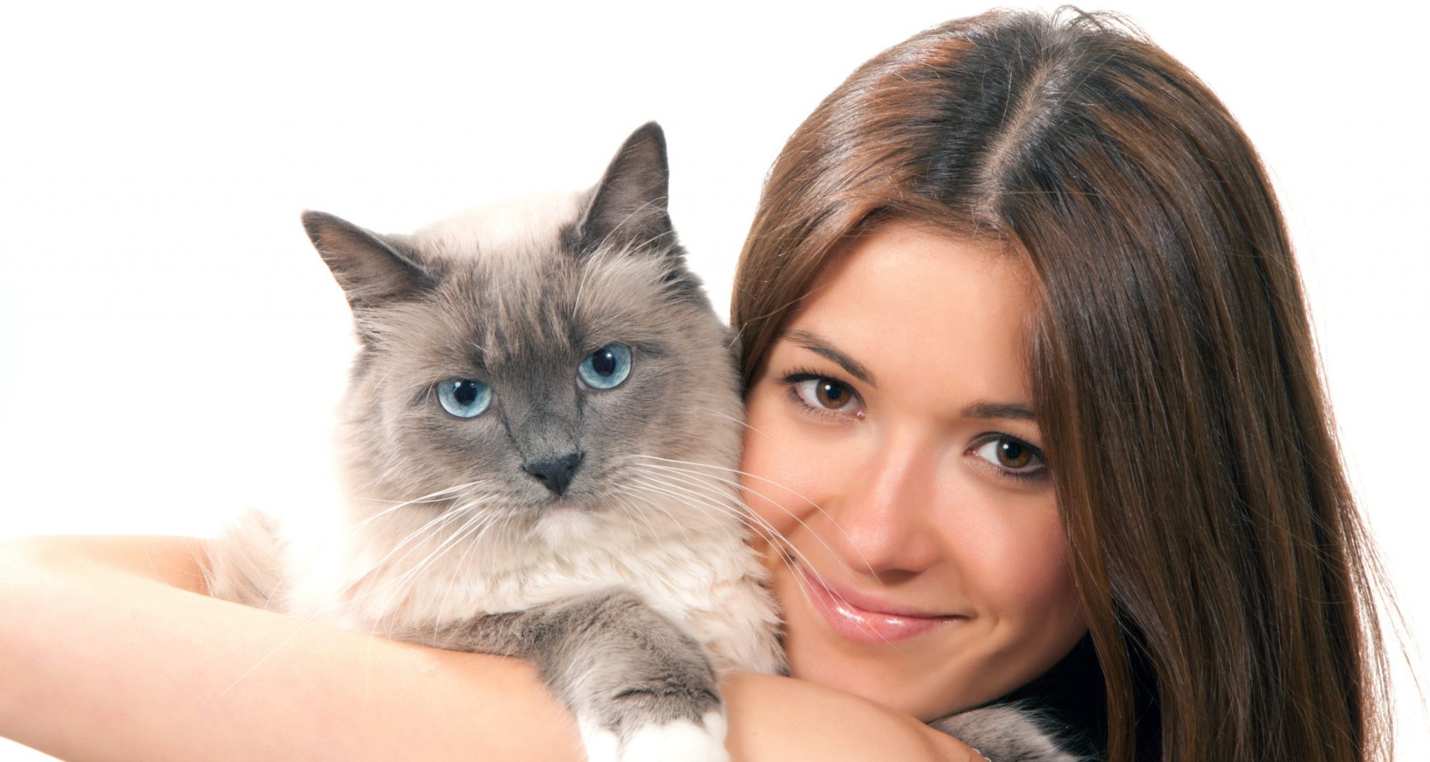 How To Respect Your Cat - PetlifeNZ™