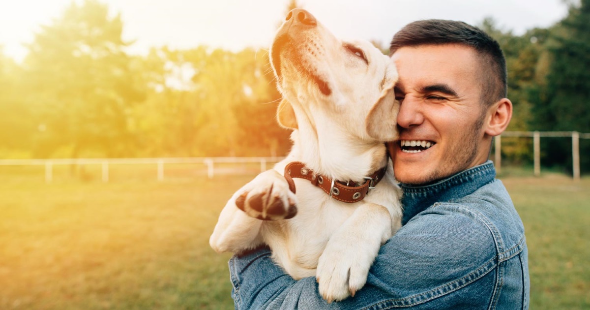 Here’s How To Improve Your Dog’s Well-being - PetlifeNZ™