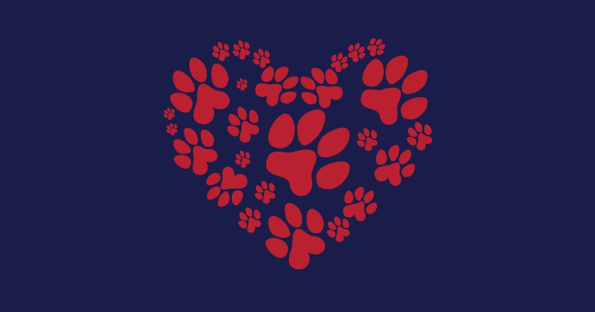 Facts About A Dog’s Heart - PetlifeNZ™