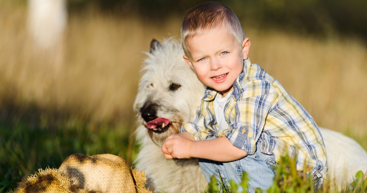 Fun Ways To Spend Best Friend’s Day With Your Dog - PetlifeNZ™