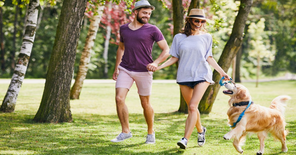 Why Walking Your Dog Is Important - PetlifeNZ™